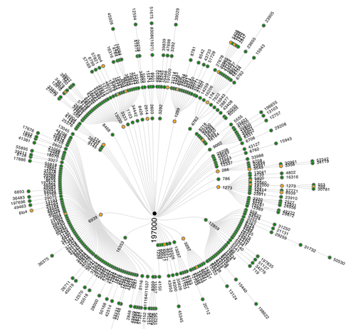 Measuring IPv6 Connectivity with RIPE Atlas - How Do Others See Your ...