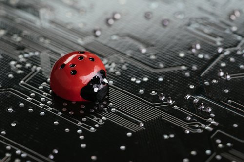 Announcing RIPE NCC’s Public Bug Bounty Program | RIPE Labs
